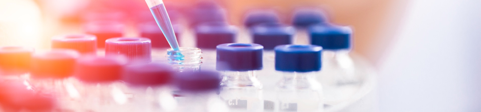 Science and Pharmacy Foundation Year | University Foundation Course